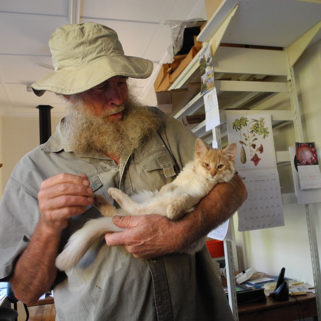 From the Archives: Newsletter January 2001 - Silverhill Seeds