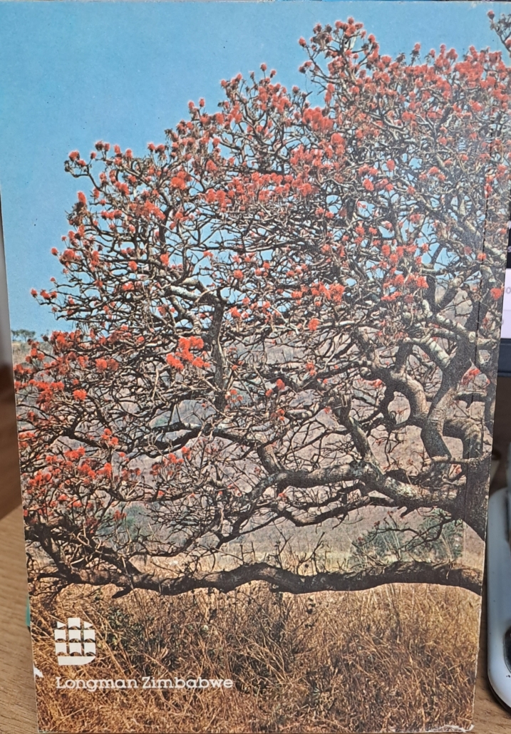 Common trees of the Highveld -1973 Edition - Silverhill Seeds