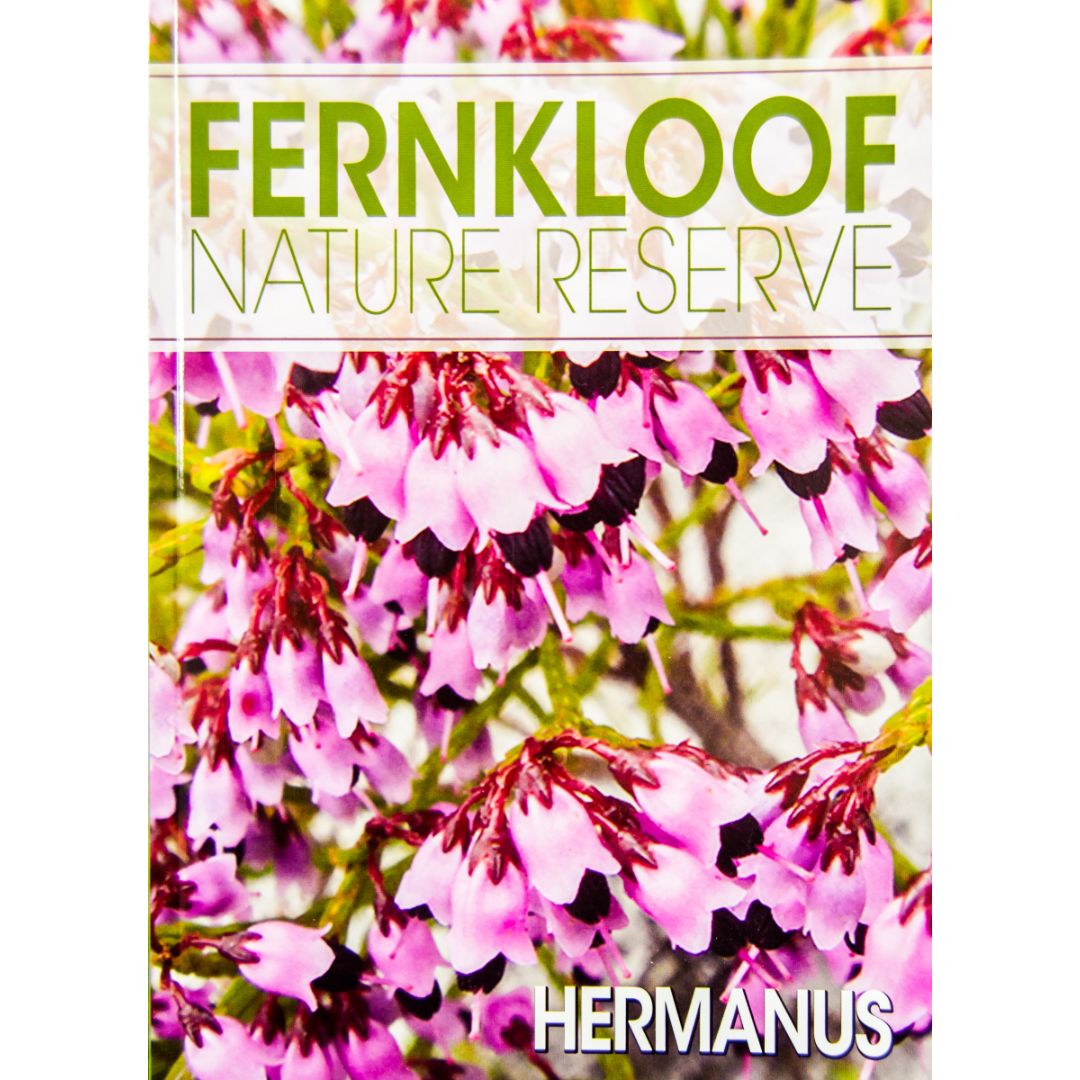 Fernkloof Nature Reserve Hermanus - Second-Hand seeds - Buy online