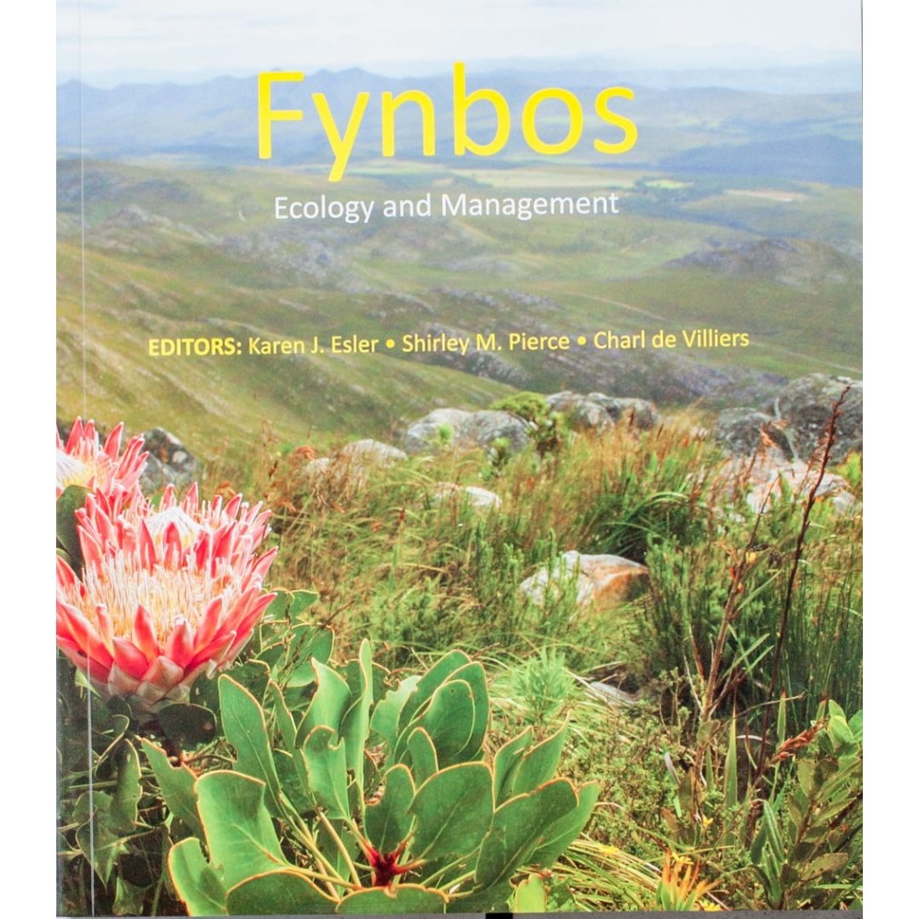 Cyrtanthus breviflorus - Silverhill Seeds