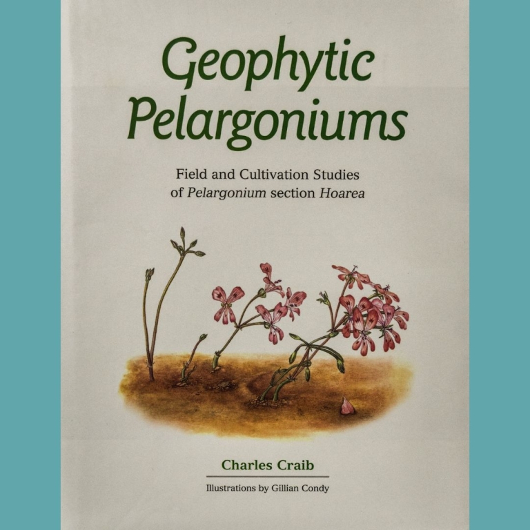 Geophytic Pelargoniums 2001 seeds - Buy online