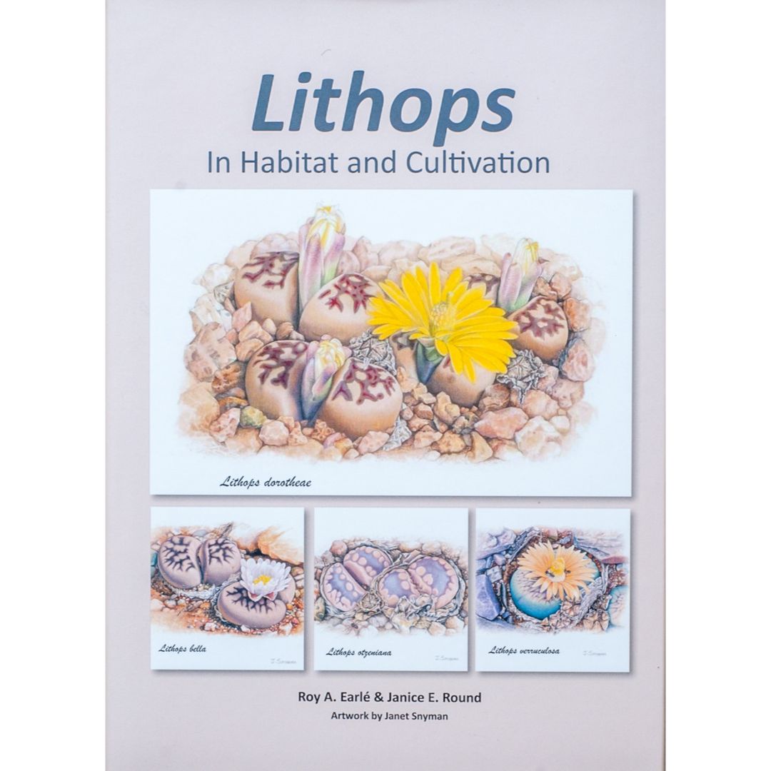 Lithops in Habitat and Cultivation seeds - Buy online