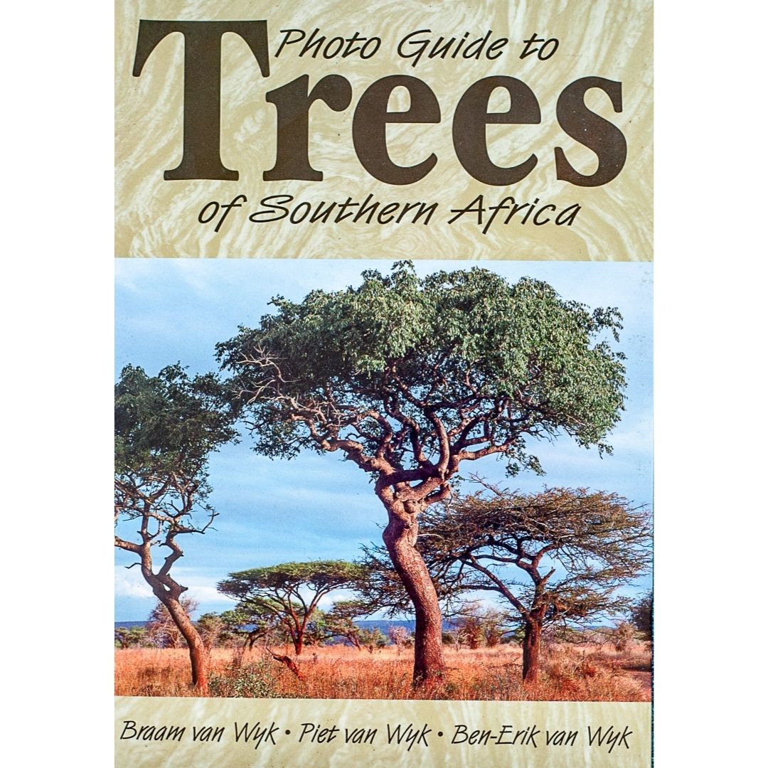 Trees In South Africa