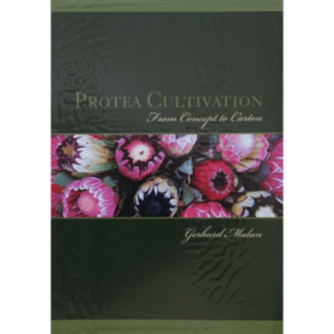 Protea Cultivation - from concept to carton seeds - Buy online