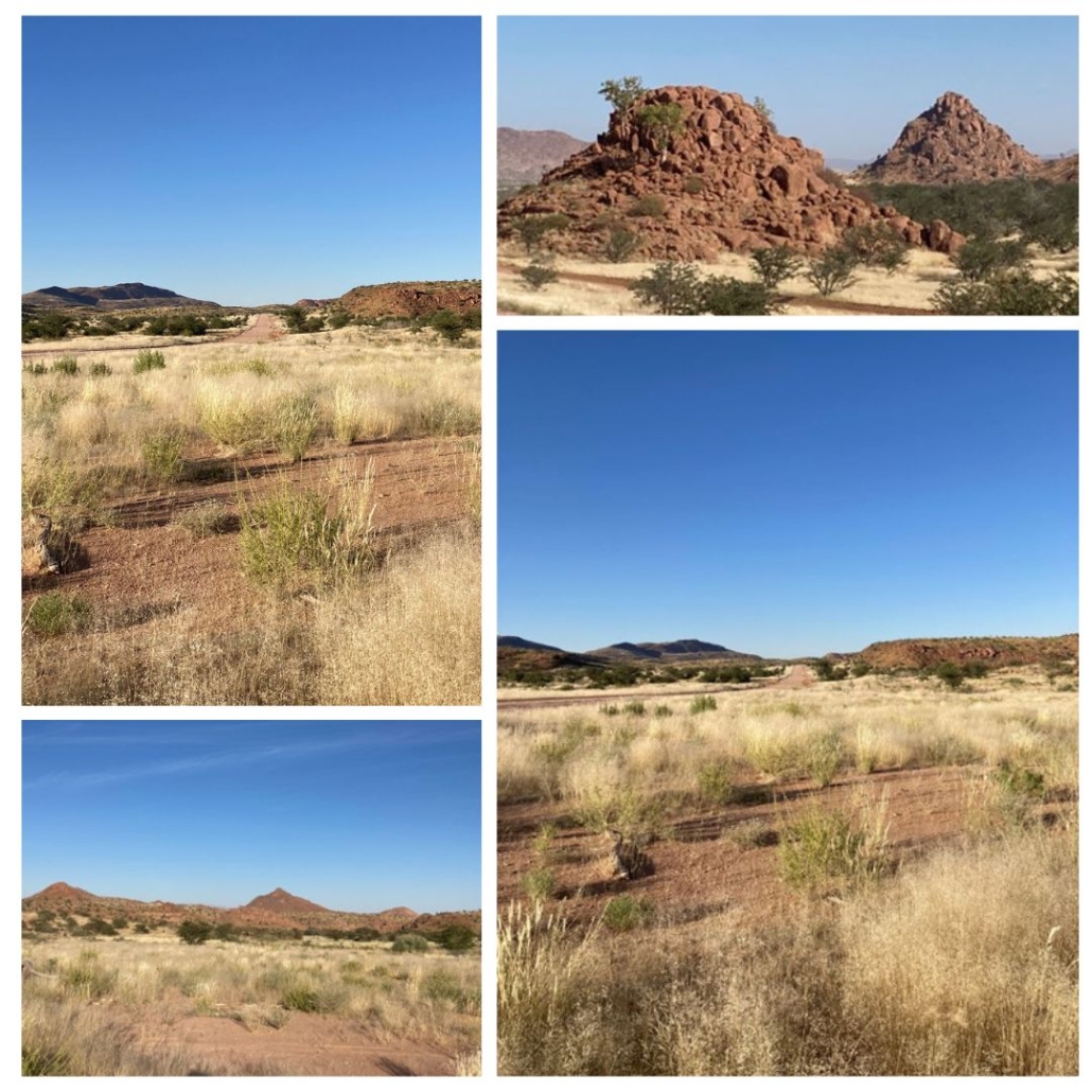 Newsletter 6: November 2022 - Silverhill Seeds