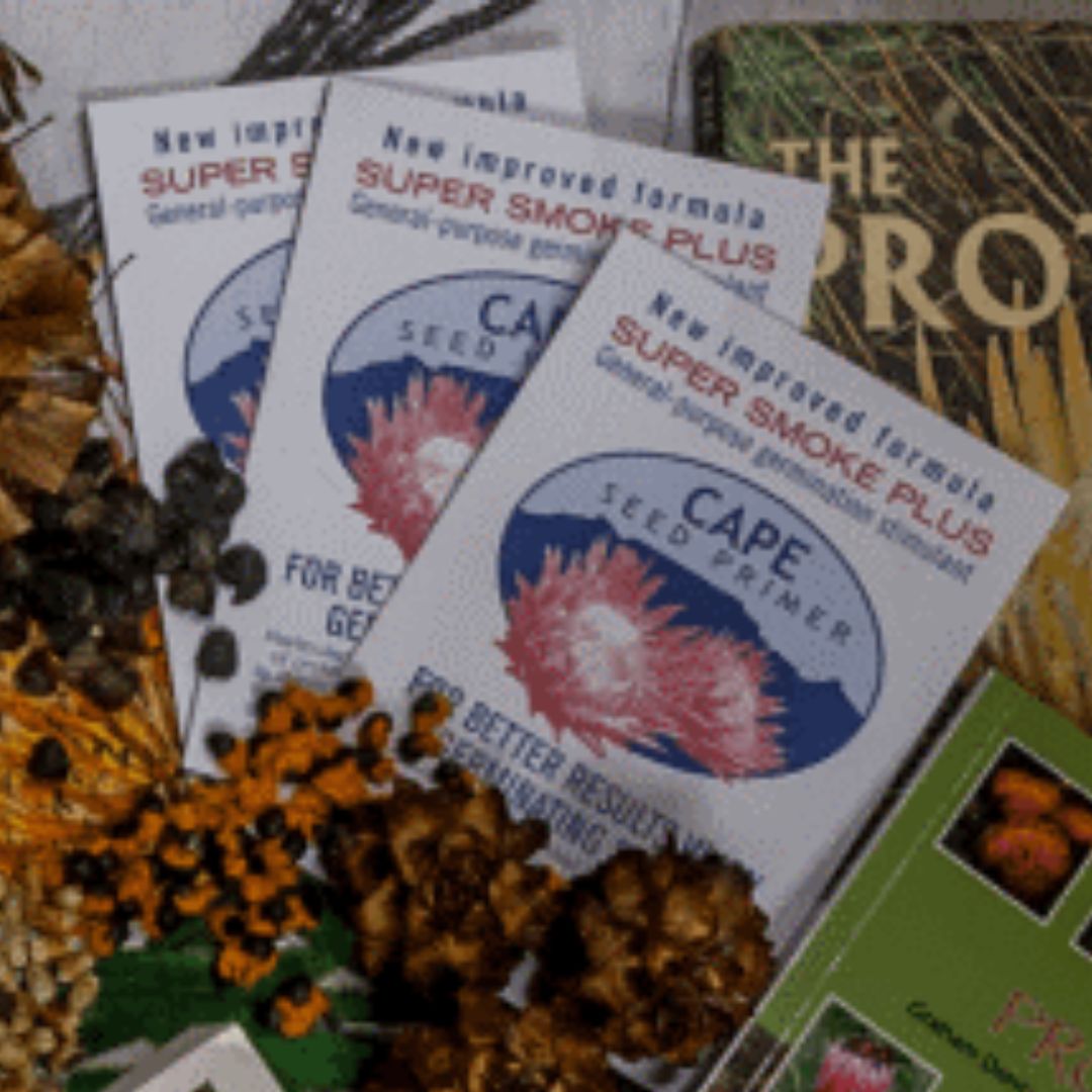 Growing Hints 1: Proteaceae - Silverhill Seeds