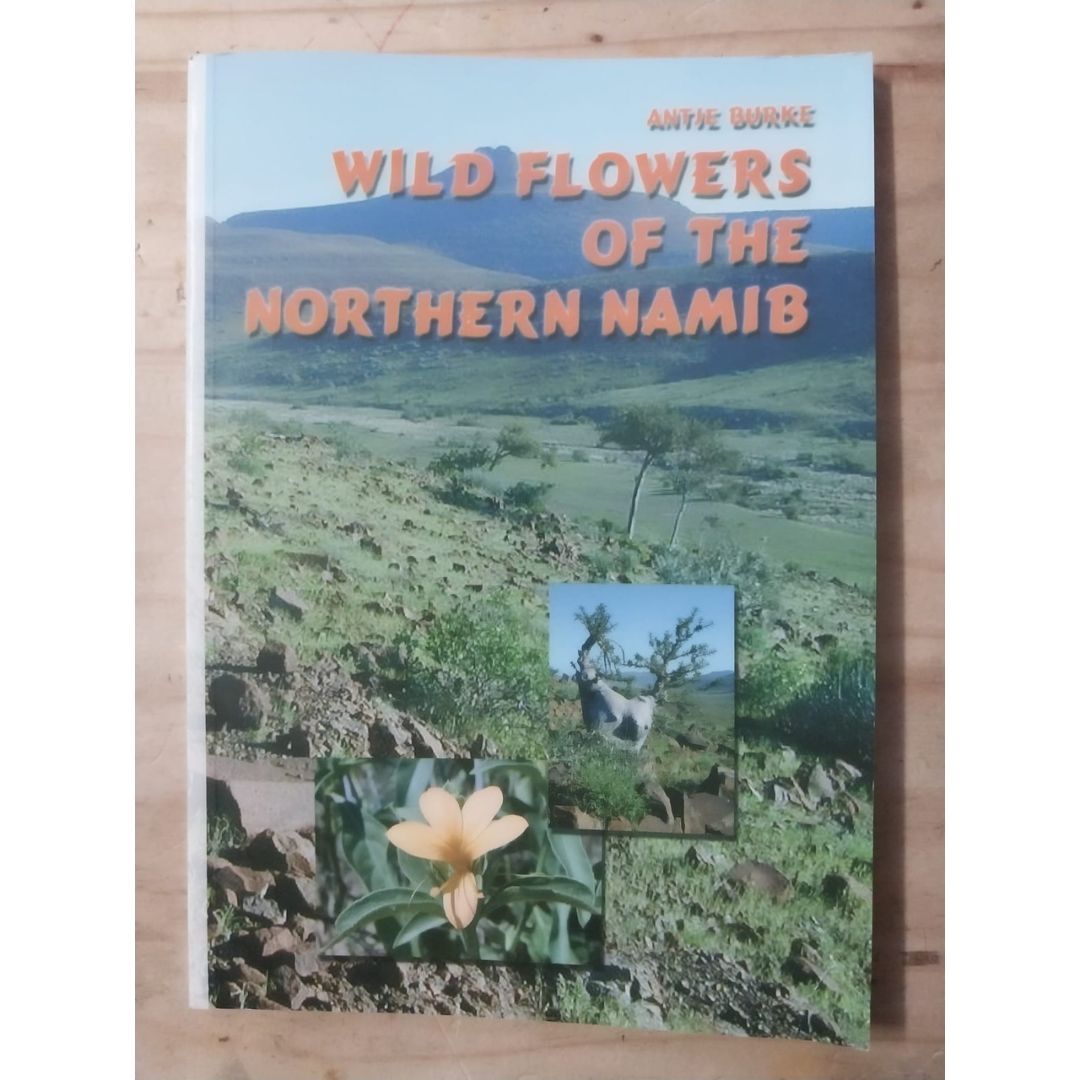 Wild Flowers of the Northern Namib seeds - Buy online