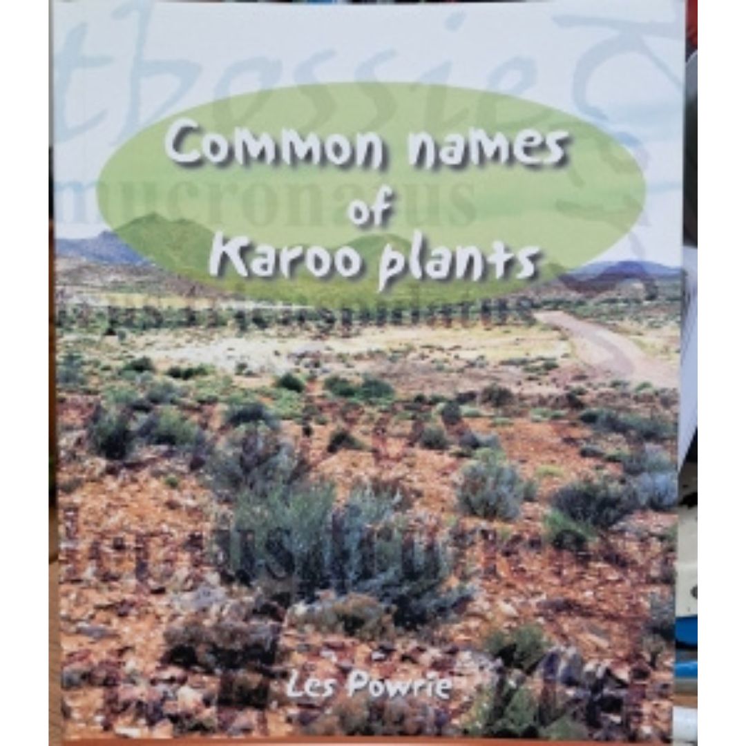 STRELITZIA 16 - Common names of Karoo plants seeds - Buy online